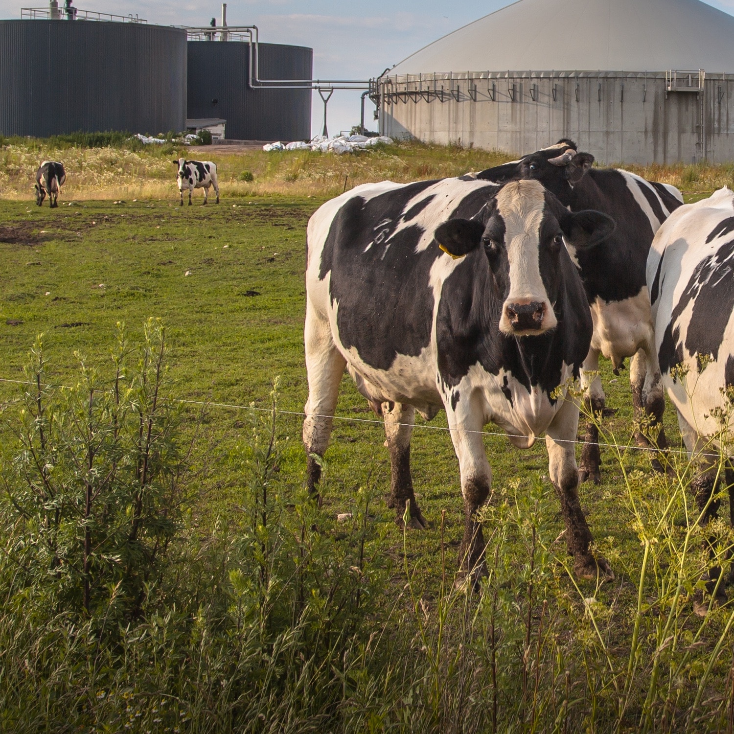 Landbrug produkter - Jenark - DOSATRON