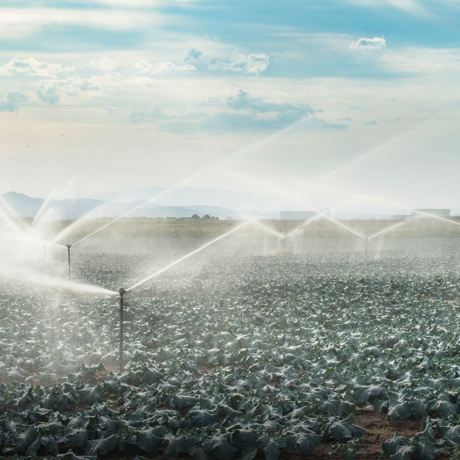 Irrigation Technology Arkiv - Jenark - DOSATRON